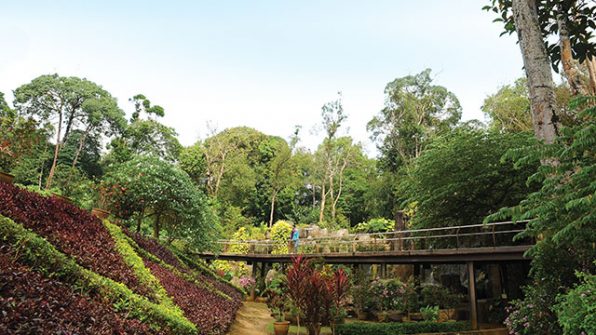 Botanical gardens in Malaysia – Visit Selangor