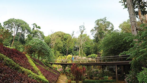 Botanical gardens in Malaysia – Visit Selangor