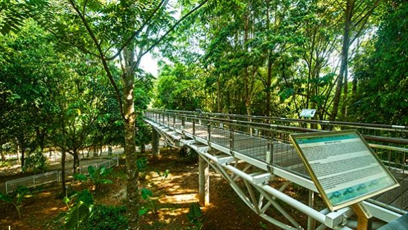 Botanical gardens in Malaysia – Visit Selangor